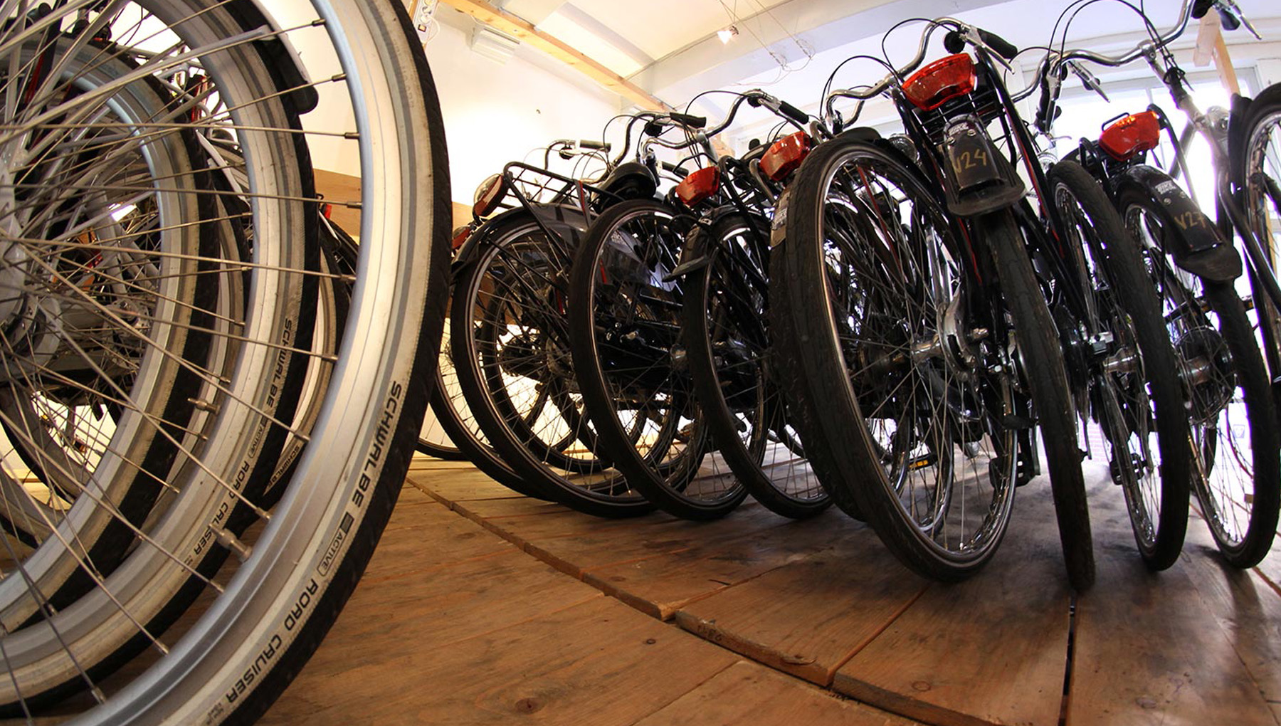 Discount Bike Rental