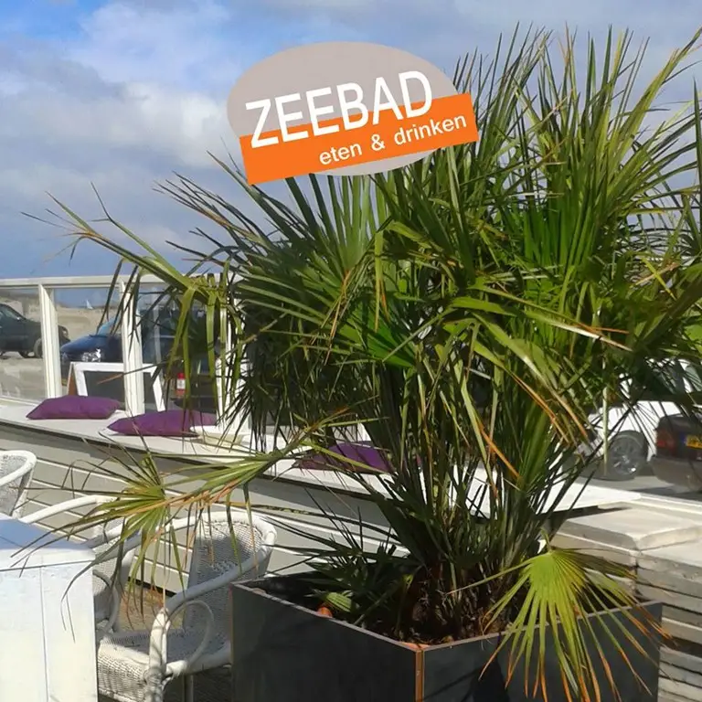 Beach pavilion Zeebad | Rotterdam Partners