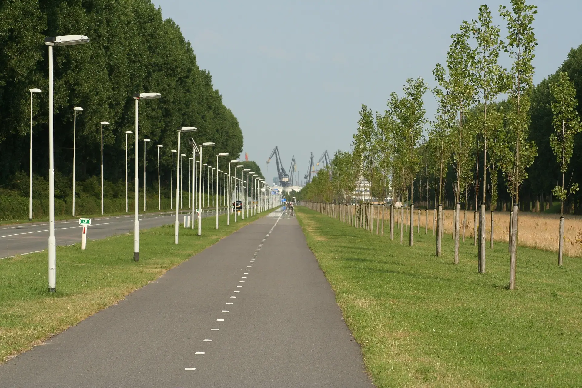 Rozenburg headland | Rotterdam Partners