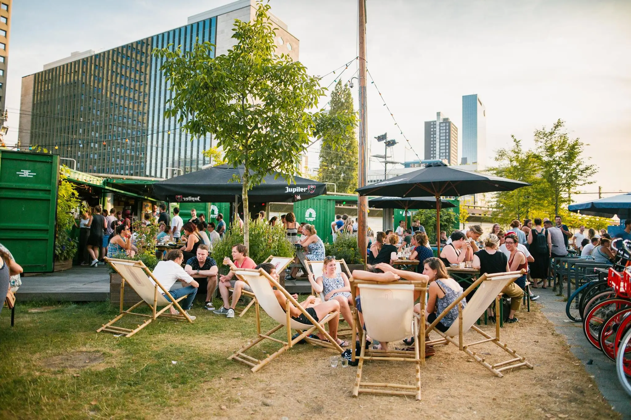 BIRD Rotterdam | Rotterdam