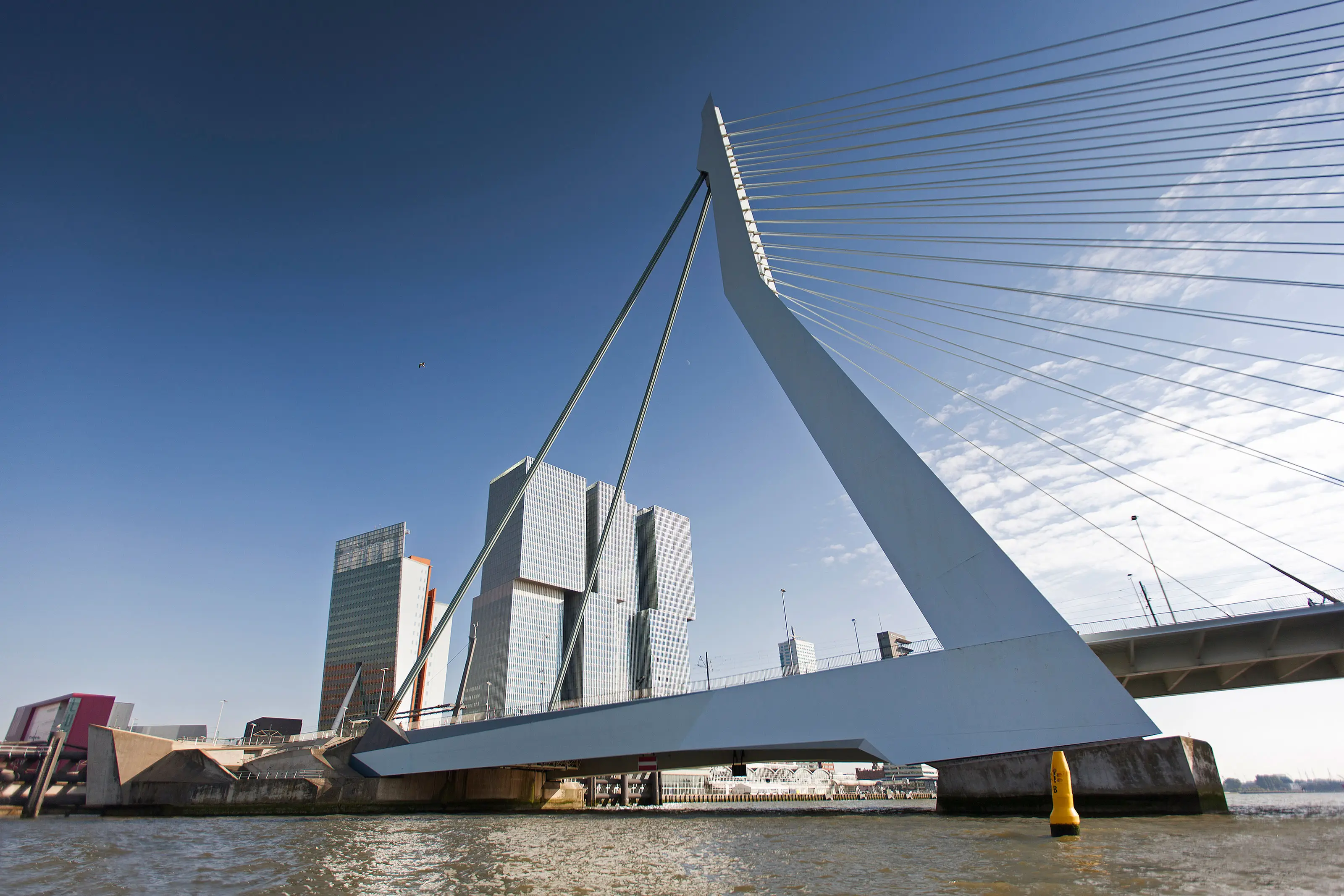 Erasmus Bridge | Rotterdam Partners