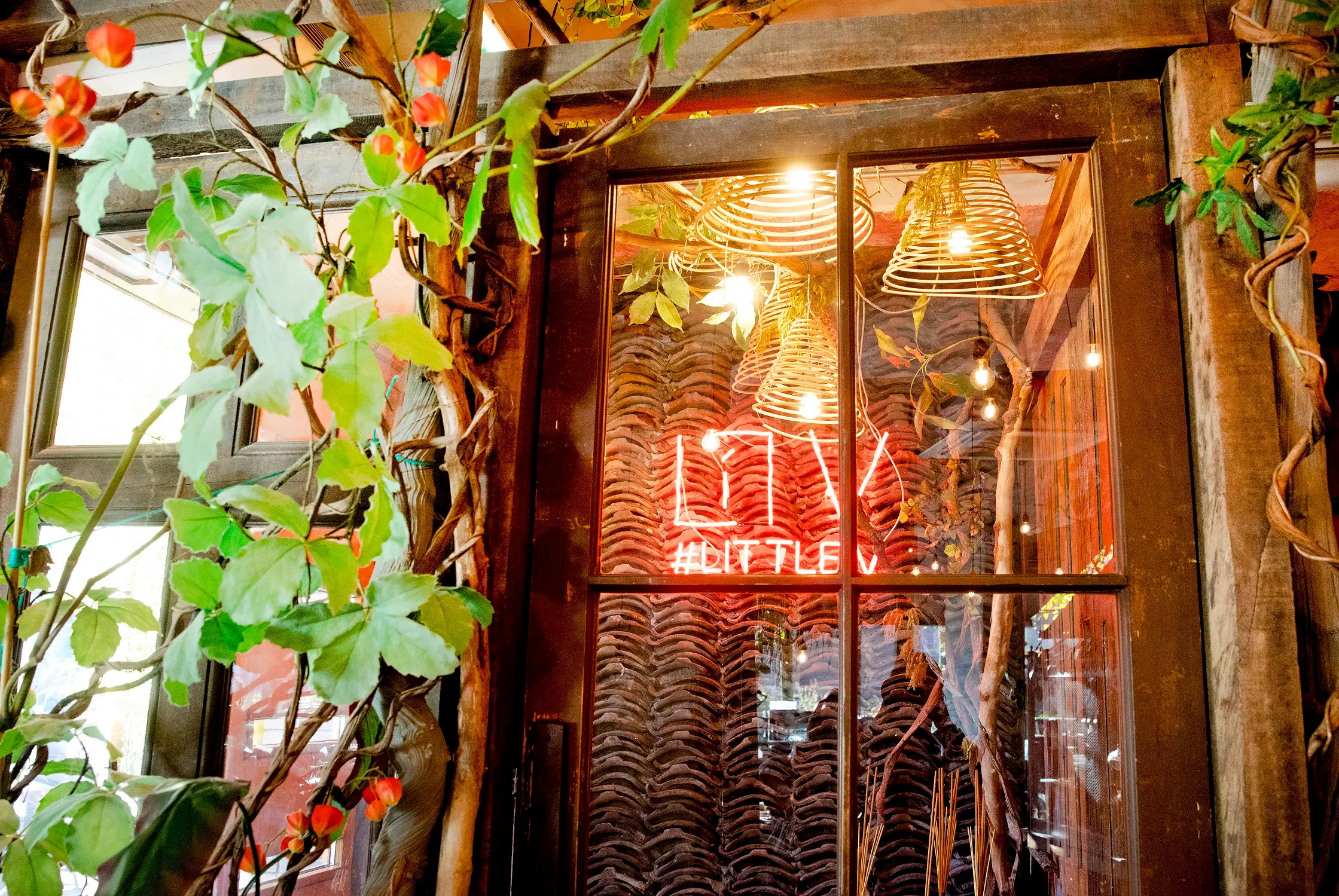 Little V | Rotterdam Partners