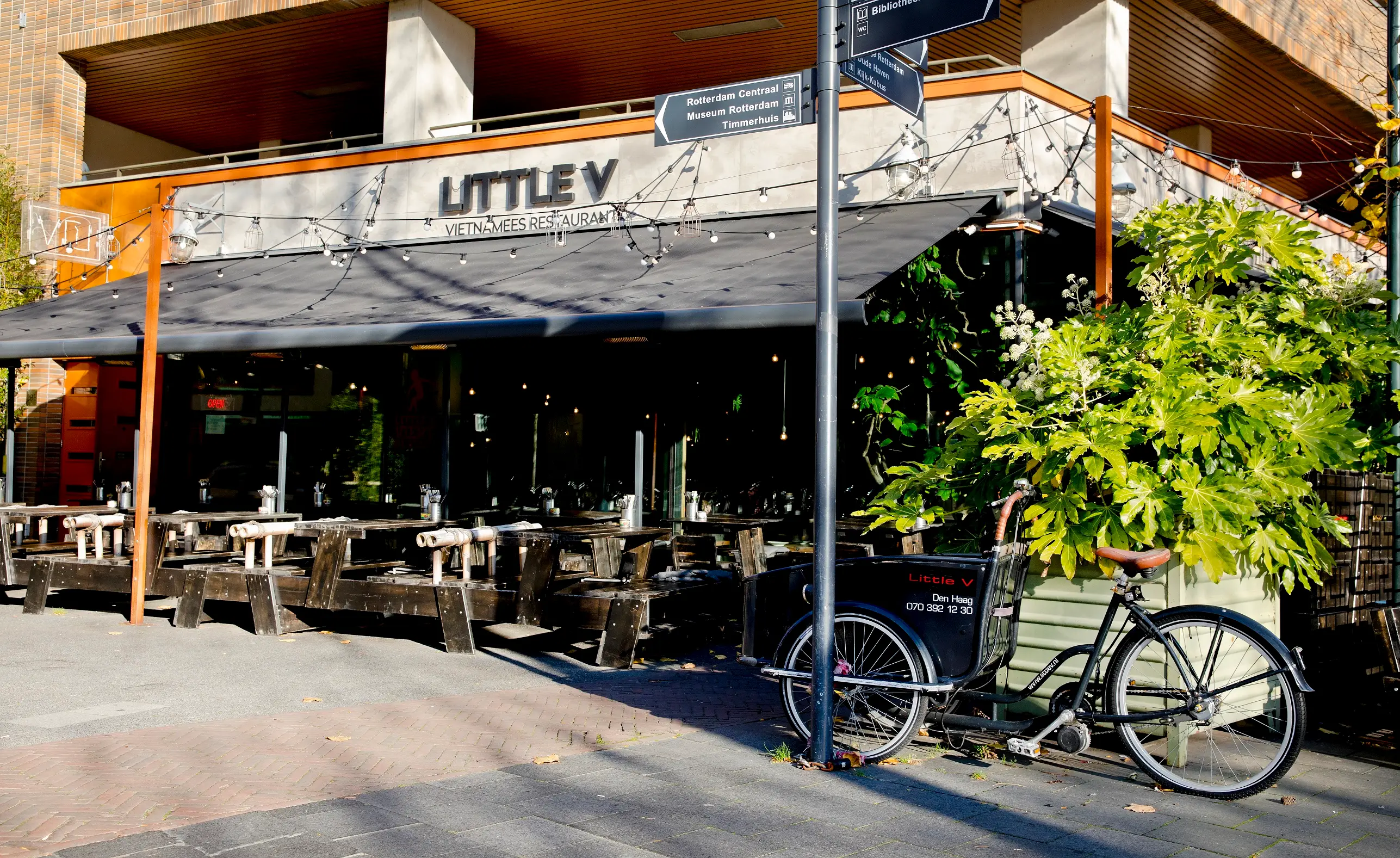 Little V | Rotterdam Partners