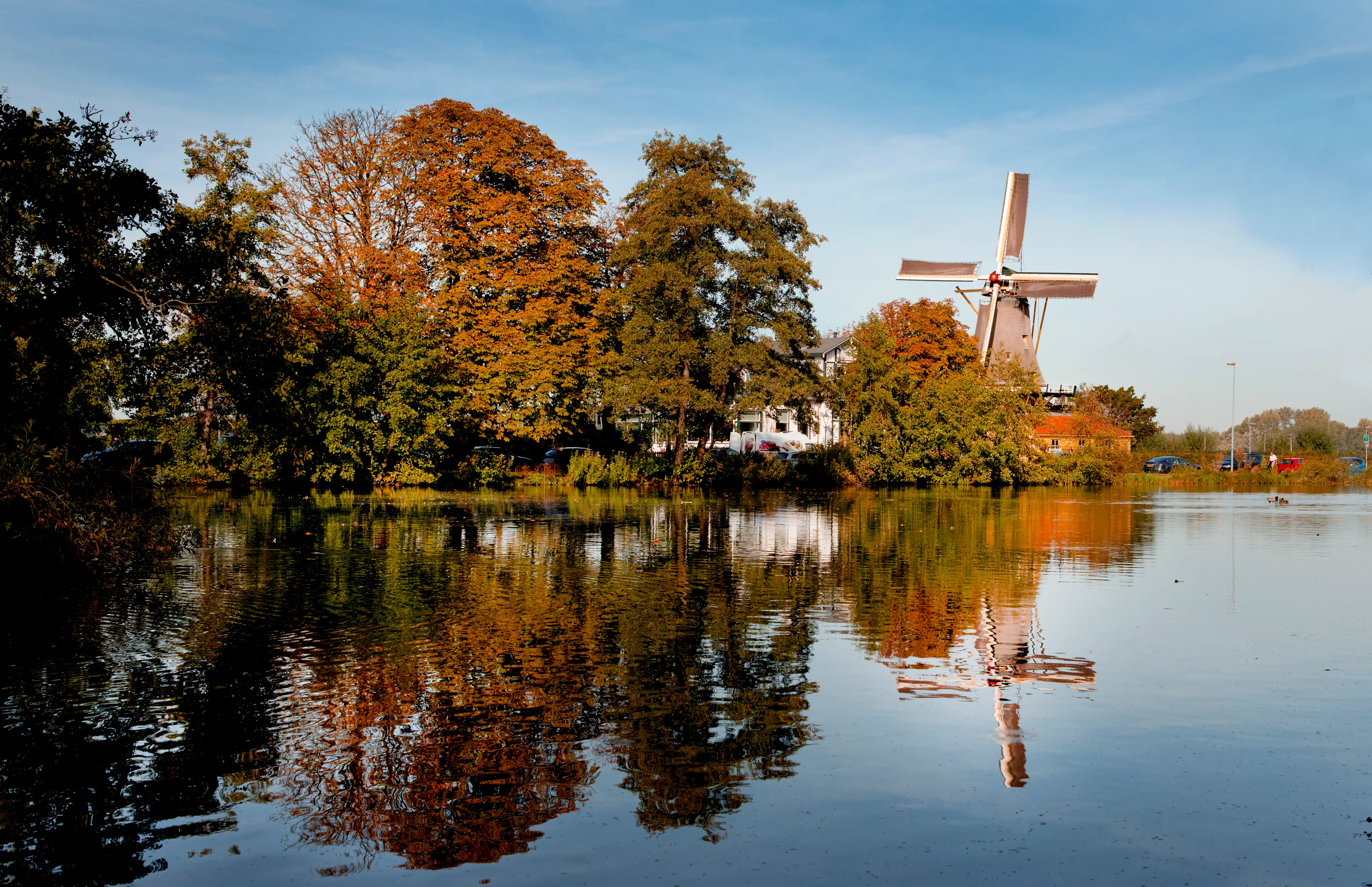 Kralingse Bos & Plas | Rotterdam Partners