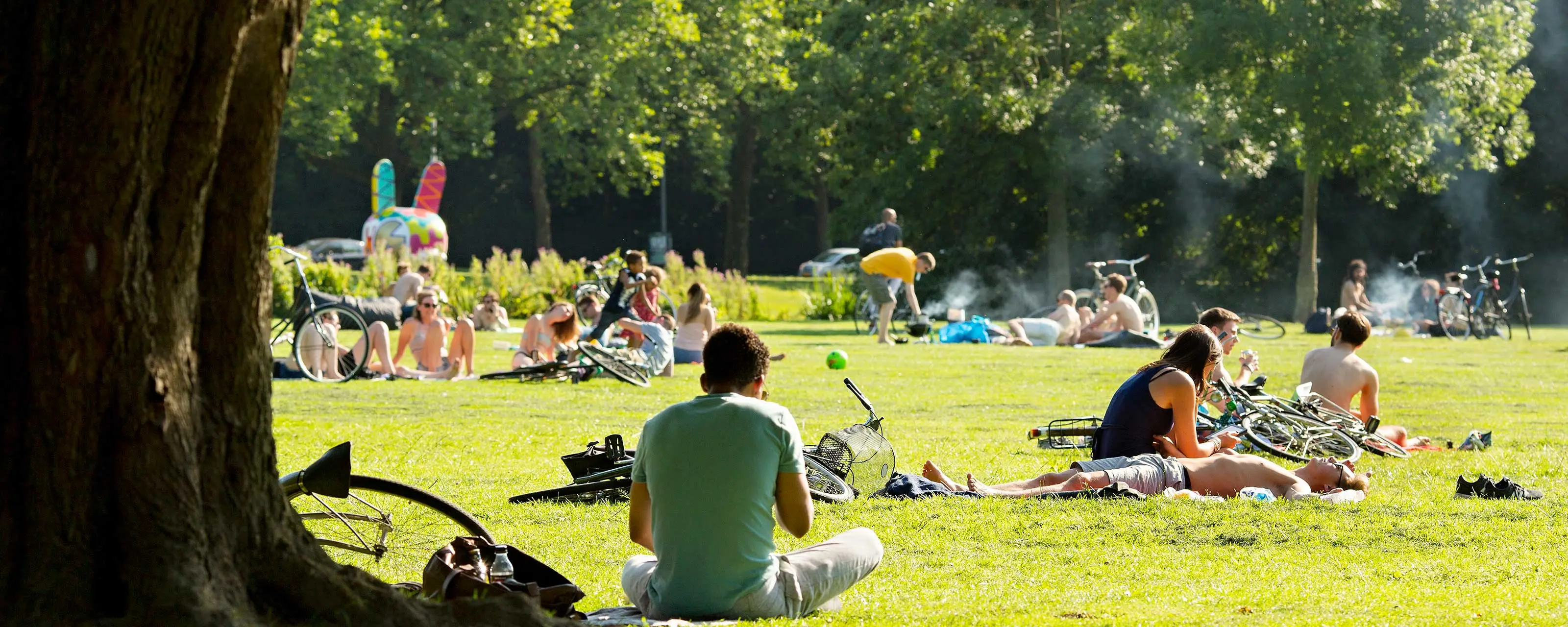 Vroesenpark | Rotterdam