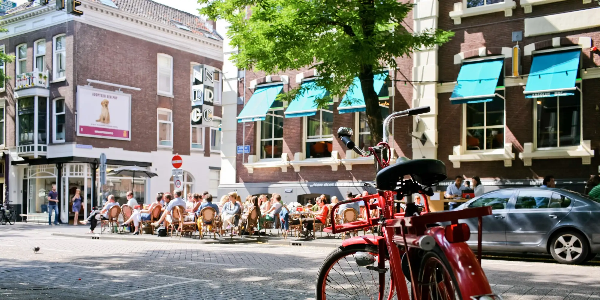 Witte de Withkwartier | Rotterdam Partners