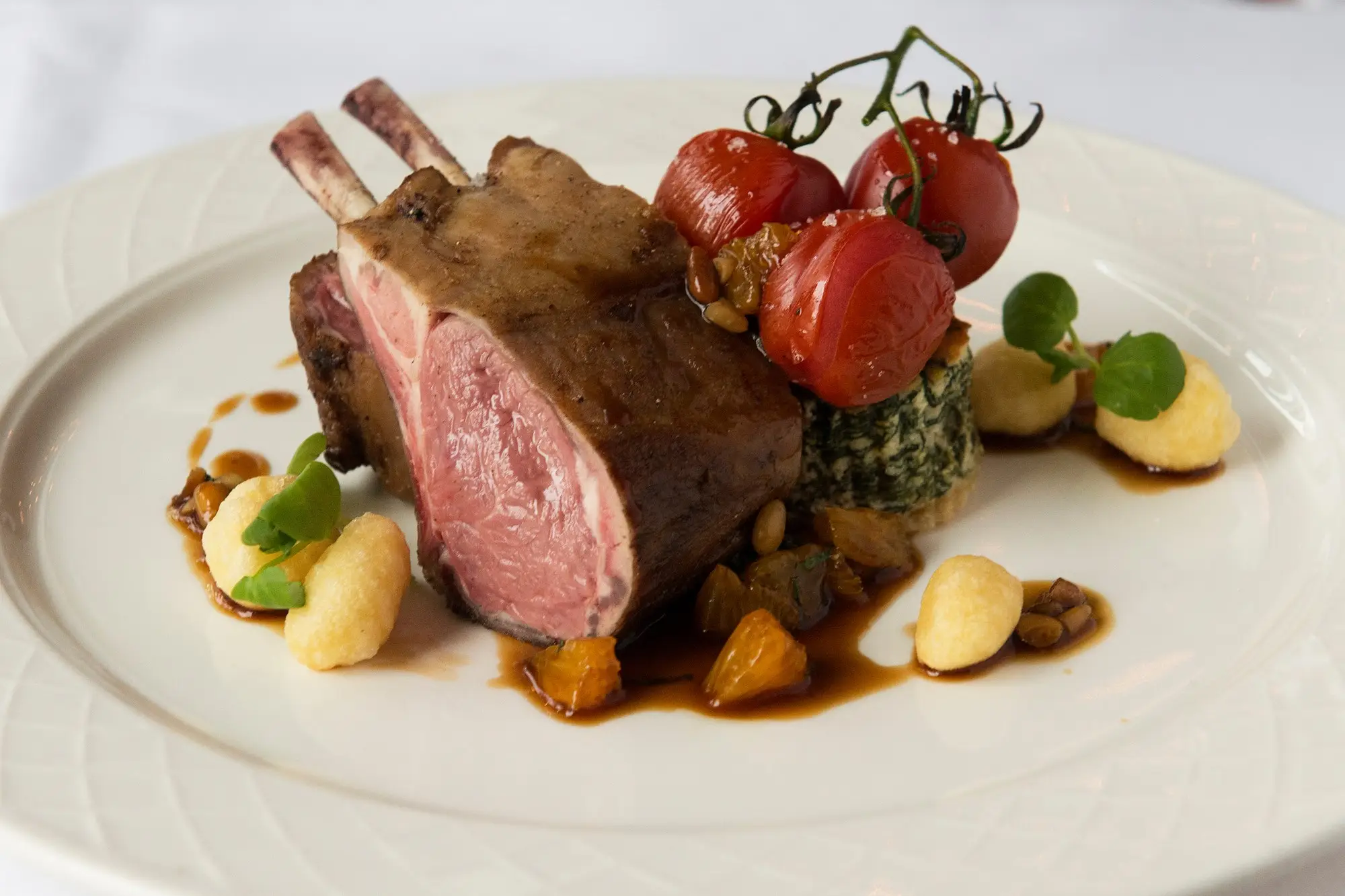 O’Pazzo | Rotterdam Partners