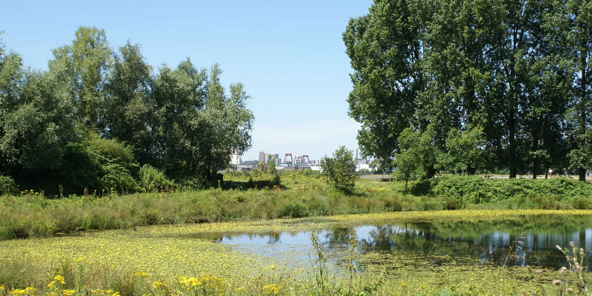 Eiland van Brienenoord | Rotterdam Partners