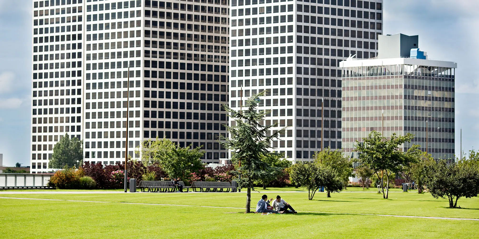Roof park | Rotterdam Partners