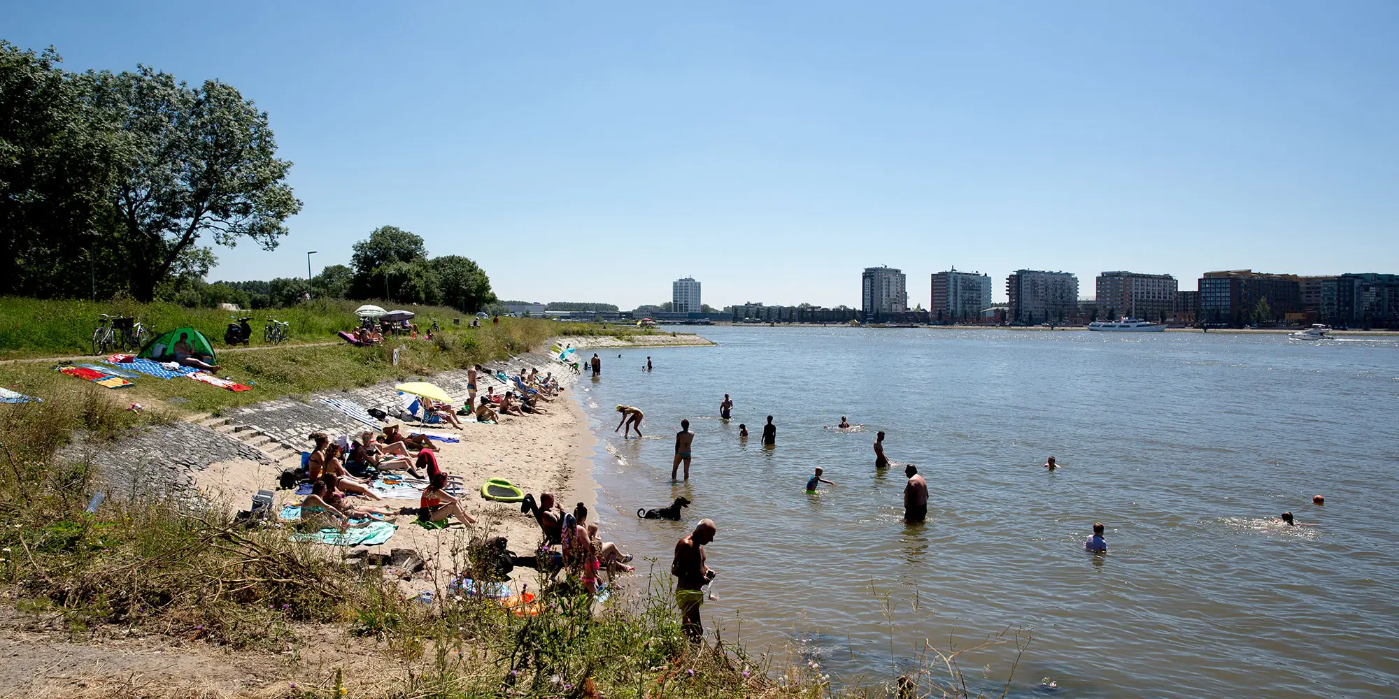 De Esch | Rotterdam Partners