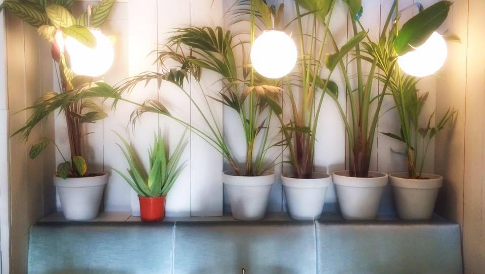 Screaming Beans Coffee Roasters | I amsterdam