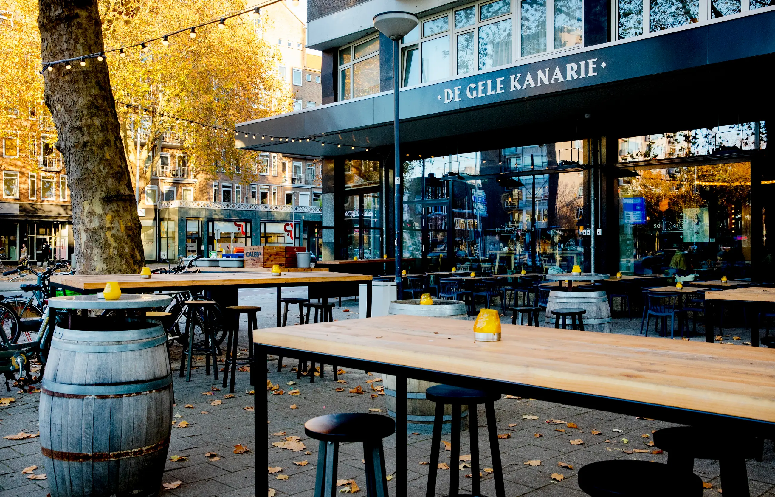 The Yellow Canary | Rotterdam