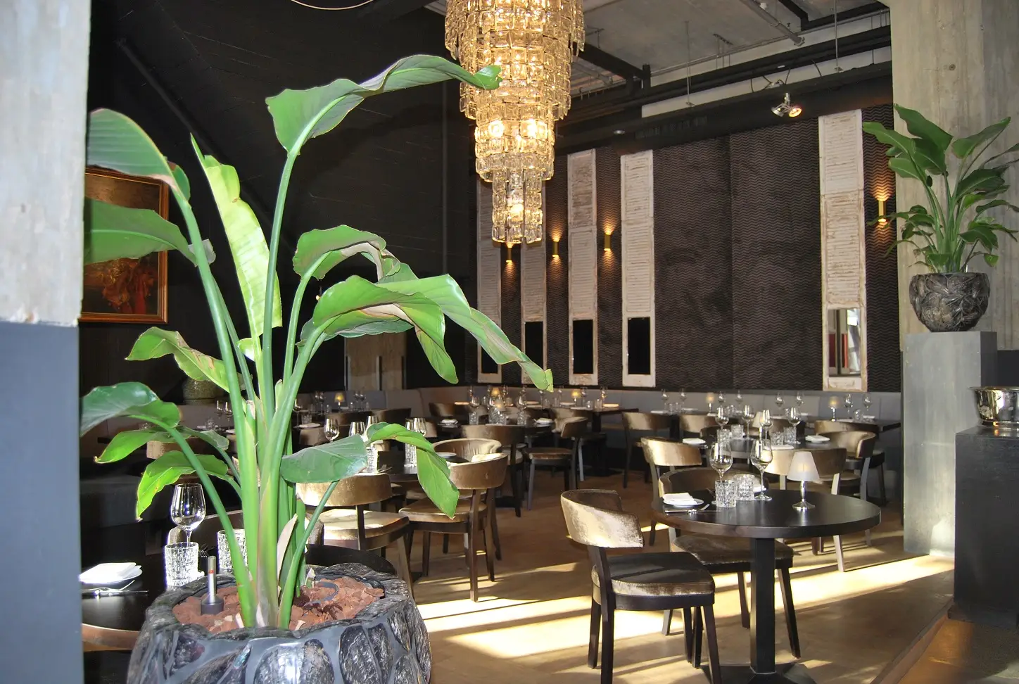 Restaurant Mood Rotterdam | Rotterdam