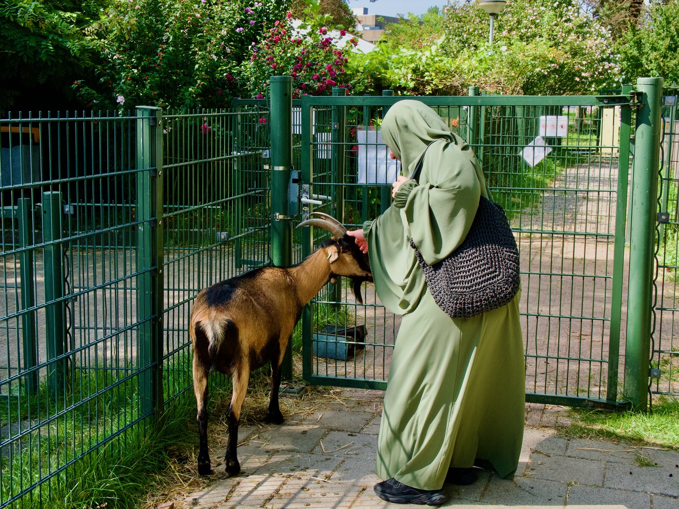 De Uylenburg Petting Zoo