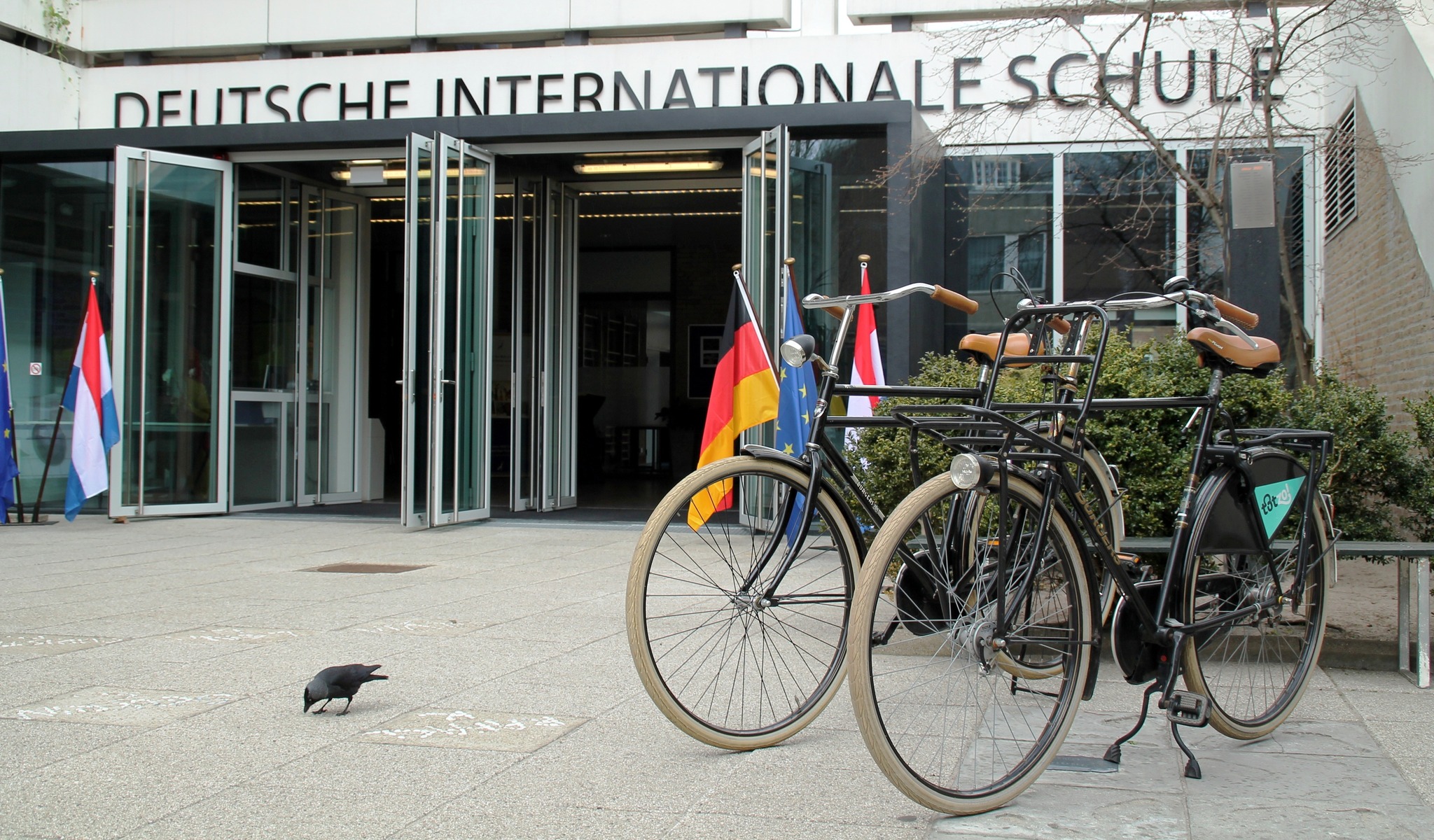 Duitse Internationale School Den Haag