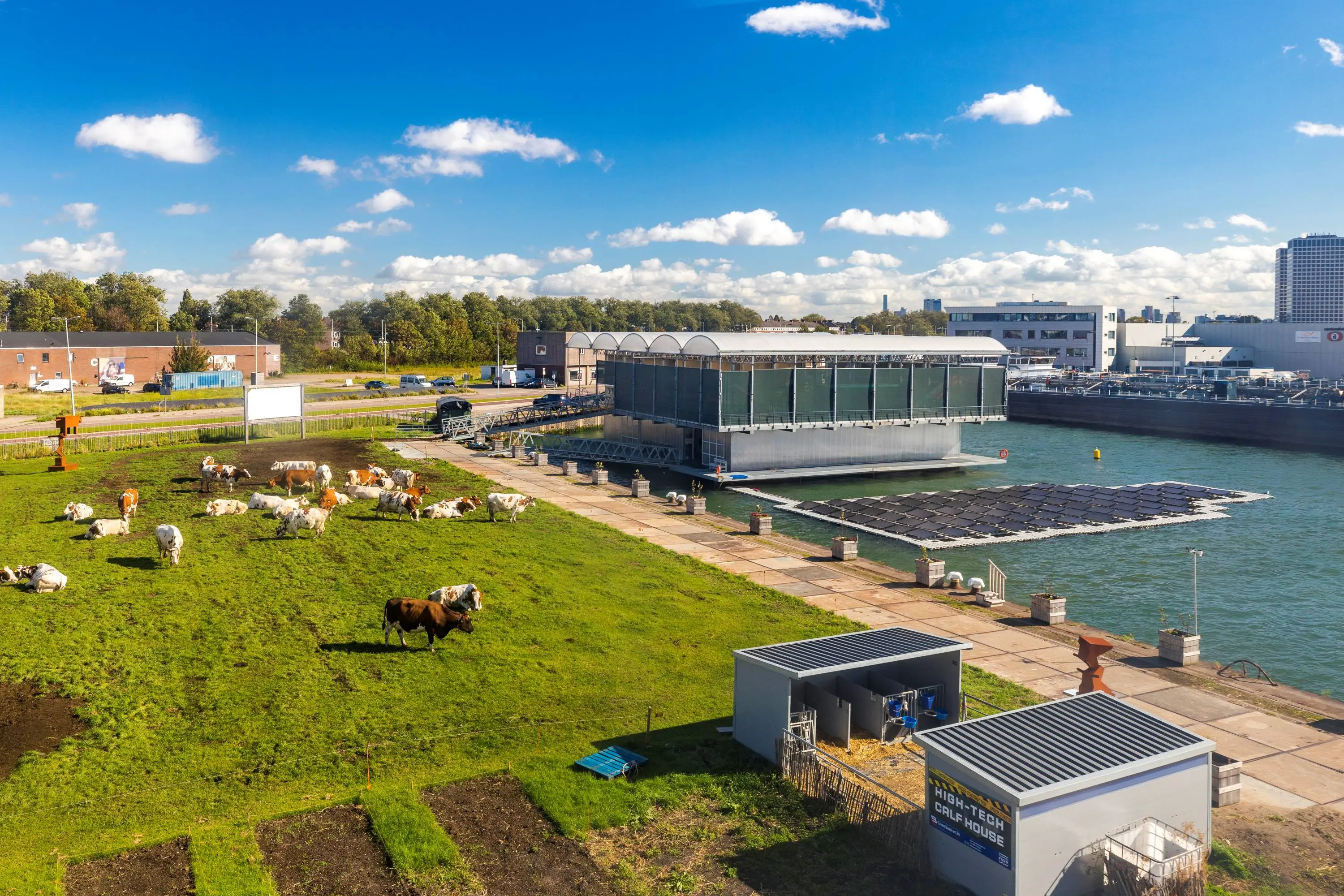 Floating Farm | Rotterdam Partners