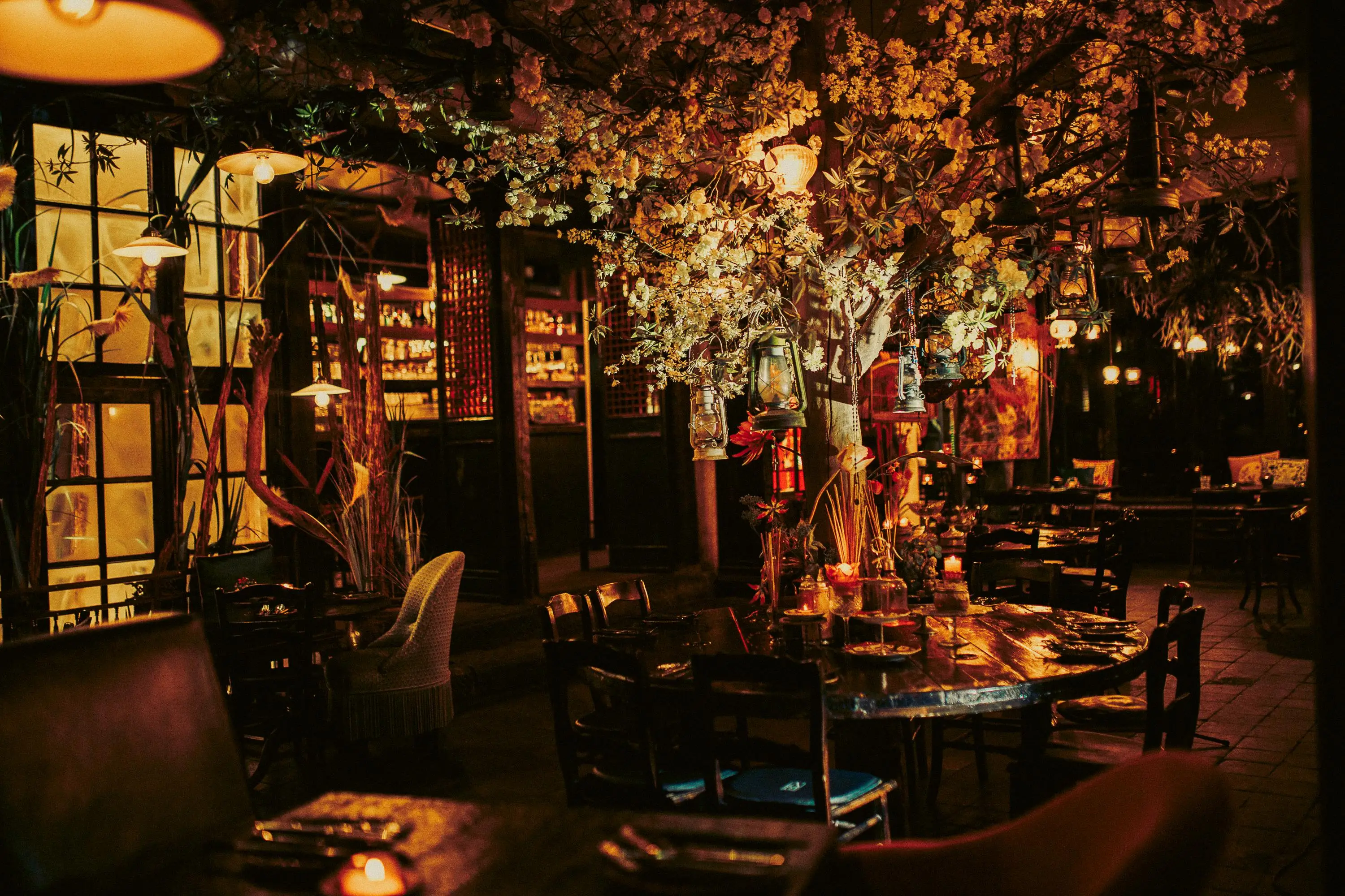 Little V | Rotterdam Partners