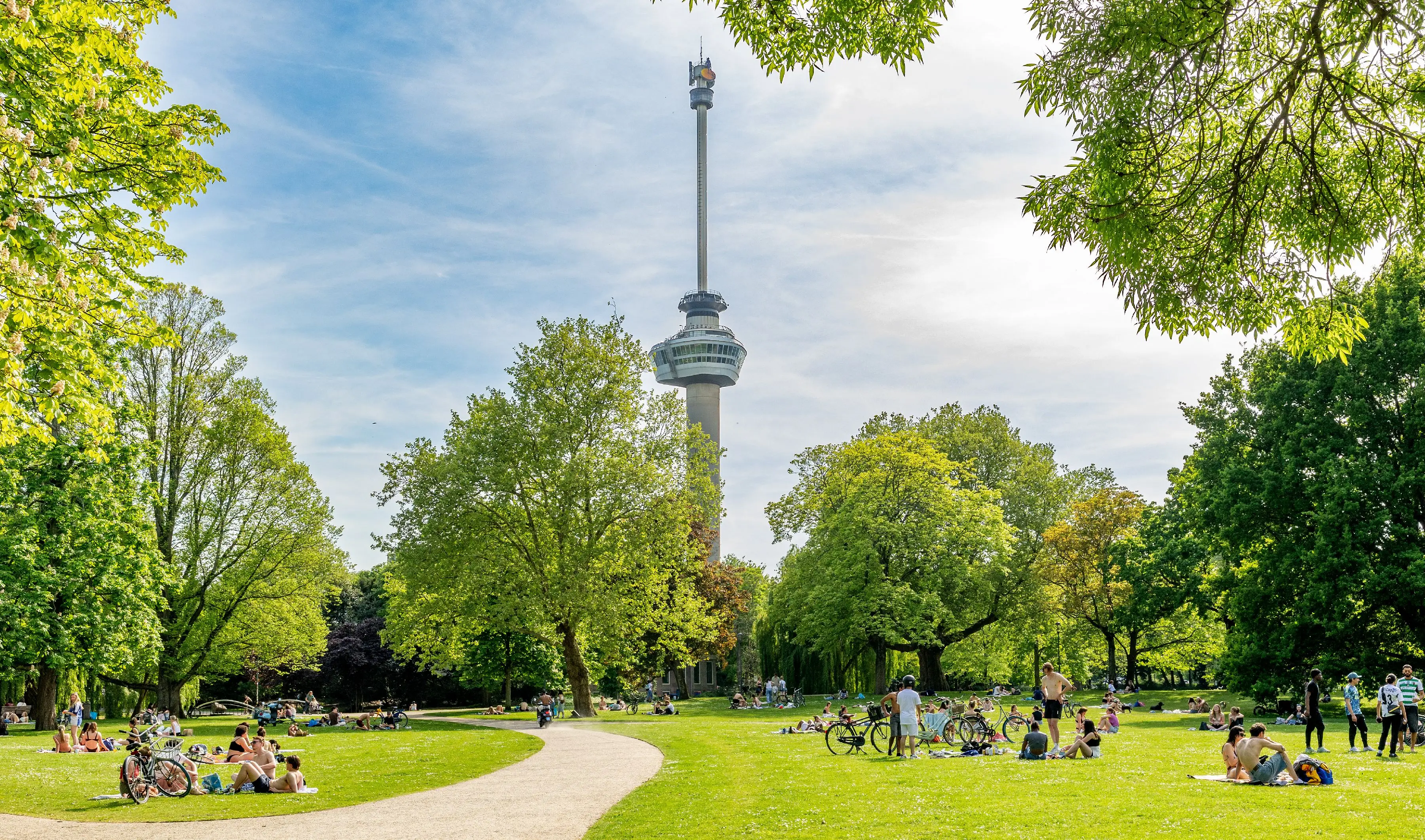 Het Park (bij de Euromast) | Rotterdam