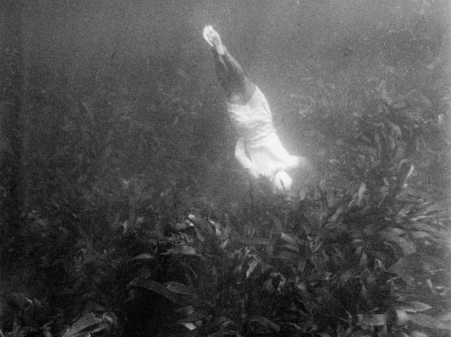 Kusukazu Uraguchi - Shima no Ama