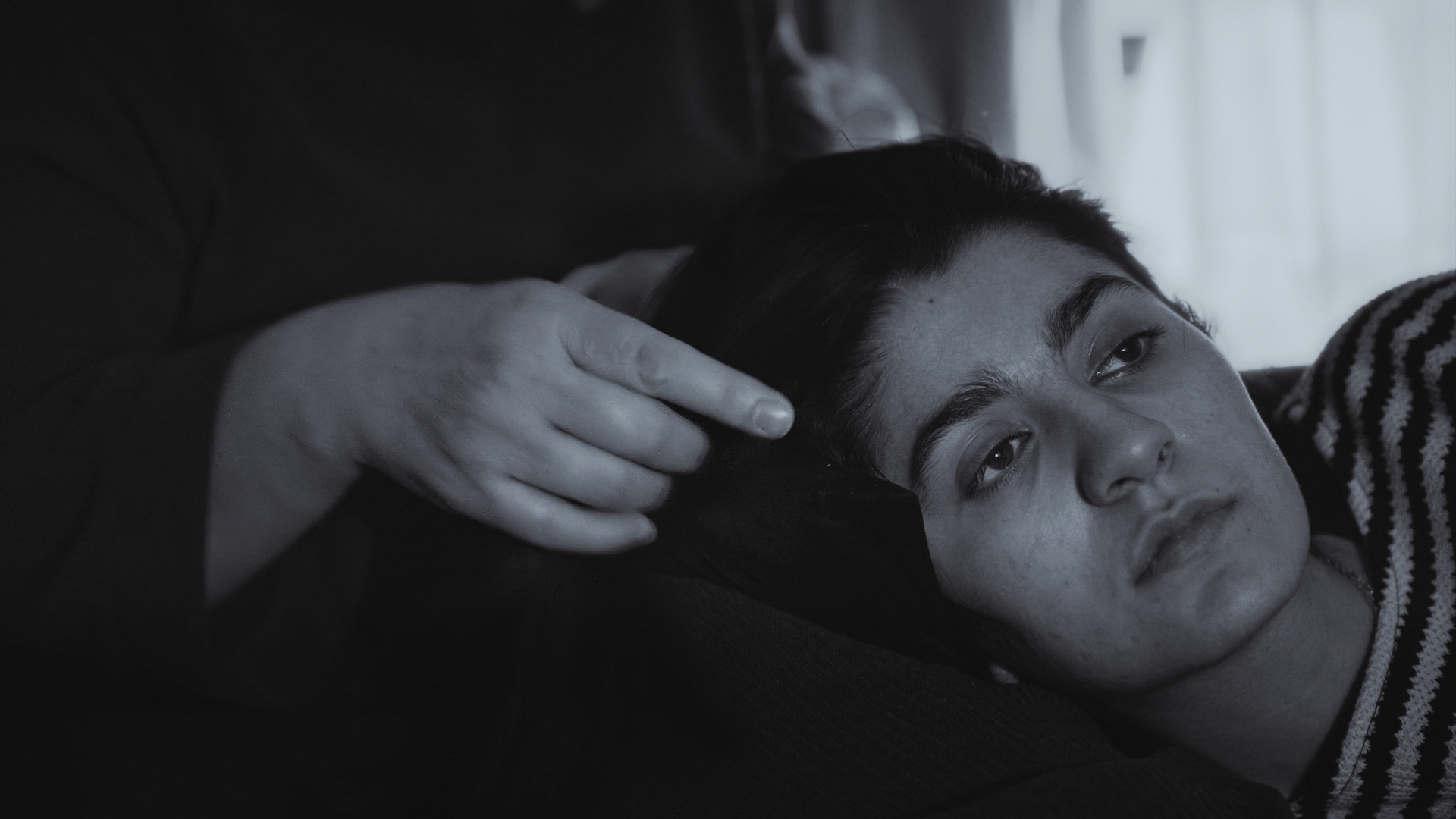 The Birds Shall Return